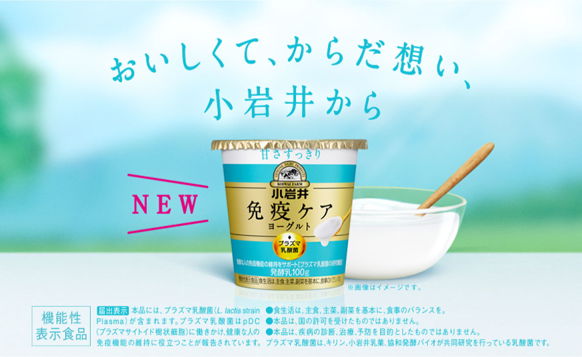 【市場】小岩井 クリーミーチーズ6P eans